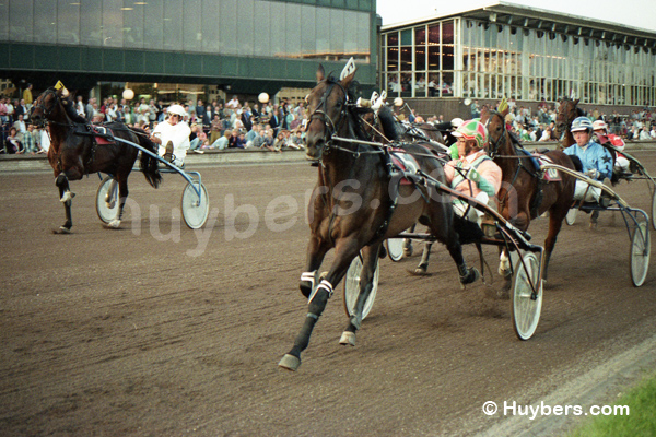 Kampioenschap Nederlandse Paarden 1980 / 2014 - Noordtrot.com