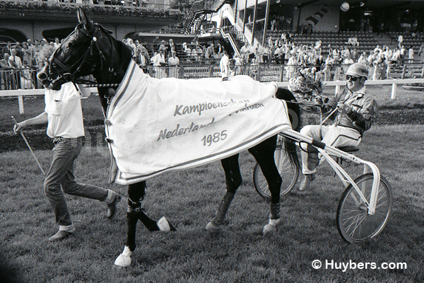 Kampioenschap Nederlandse Paarden 1980 / 2014 - Noordtrot.com